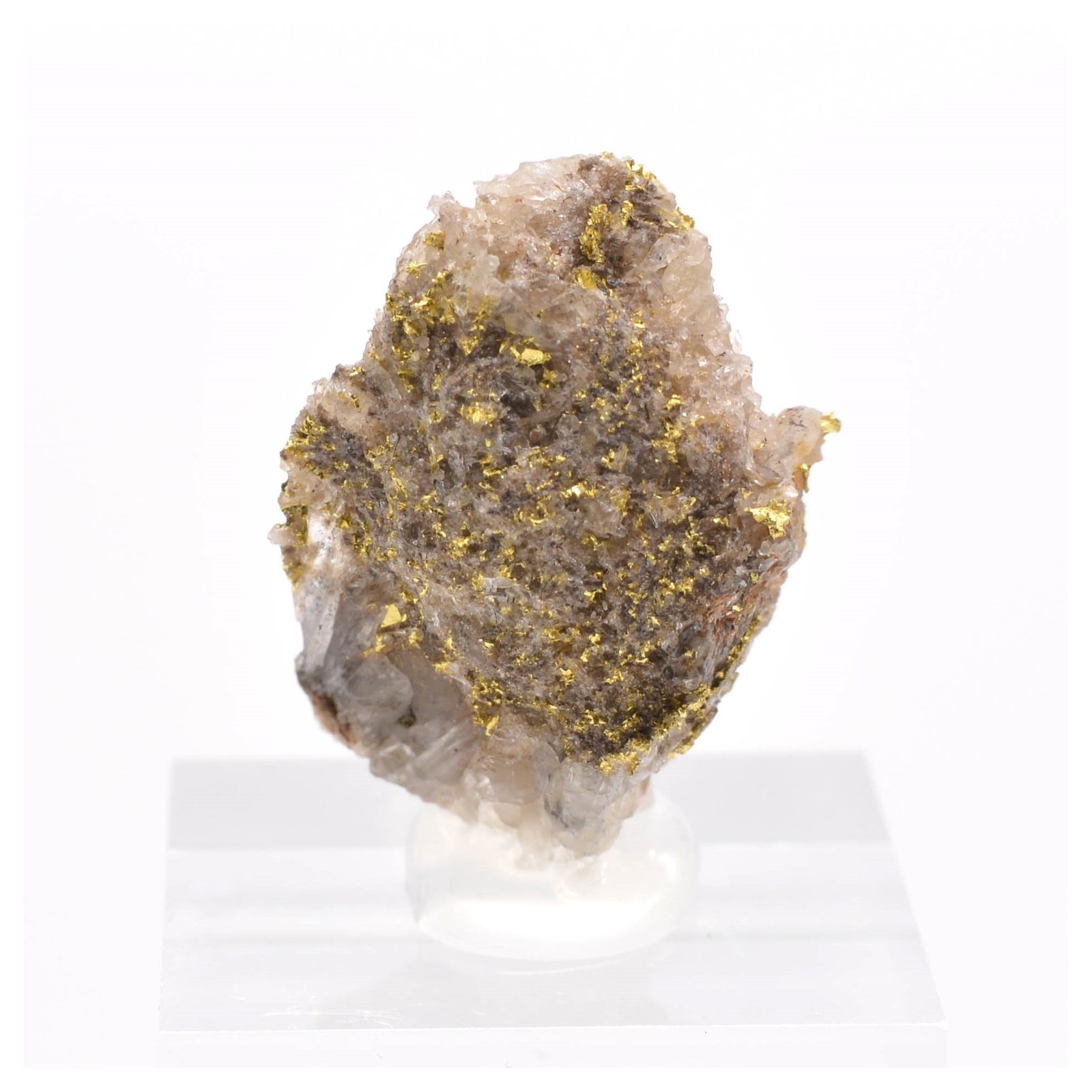 Or natif sur quartz - Morbihan, France